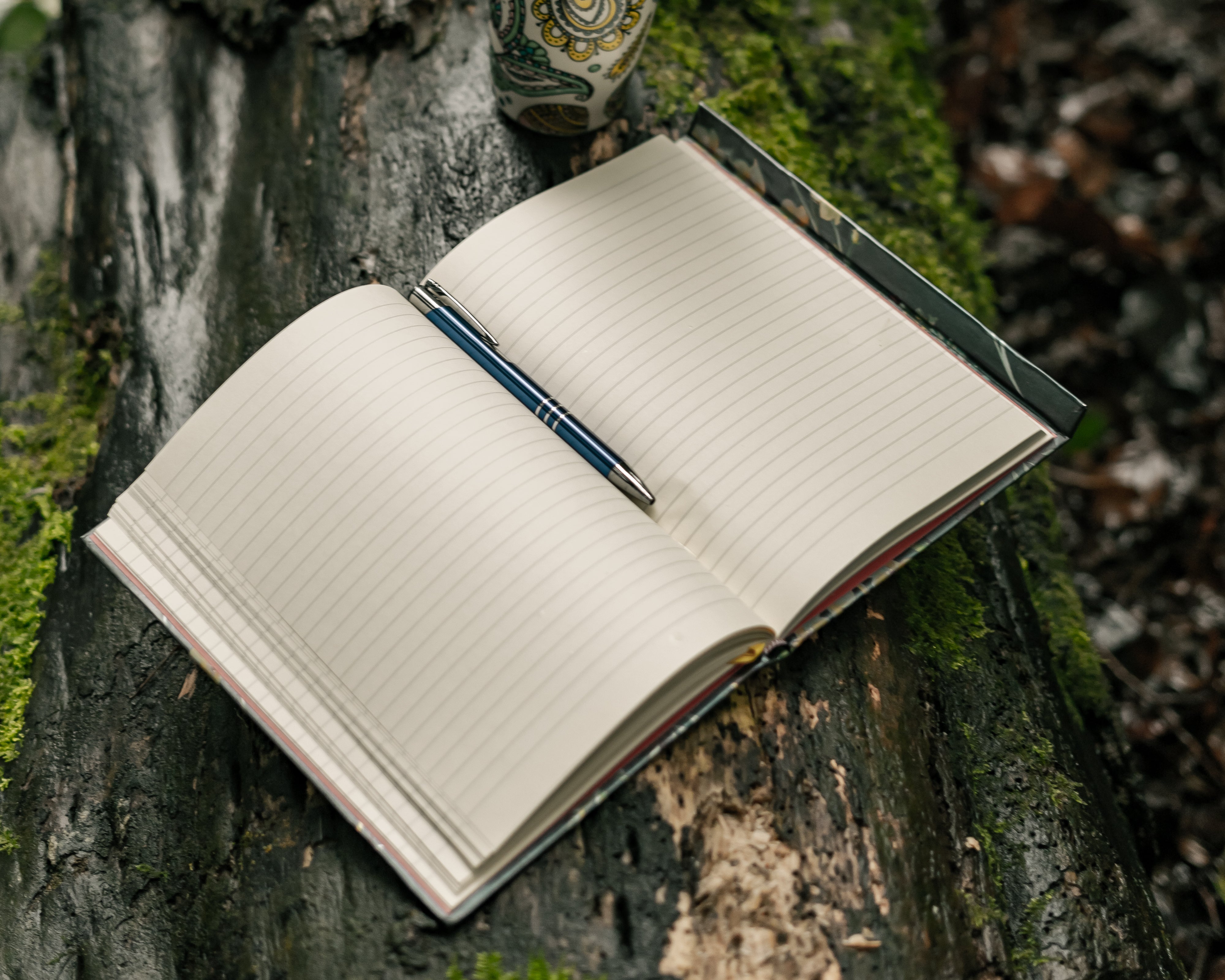 Marching into Mindfulness: A Journaling Plan For March 2024 | Medibody ...